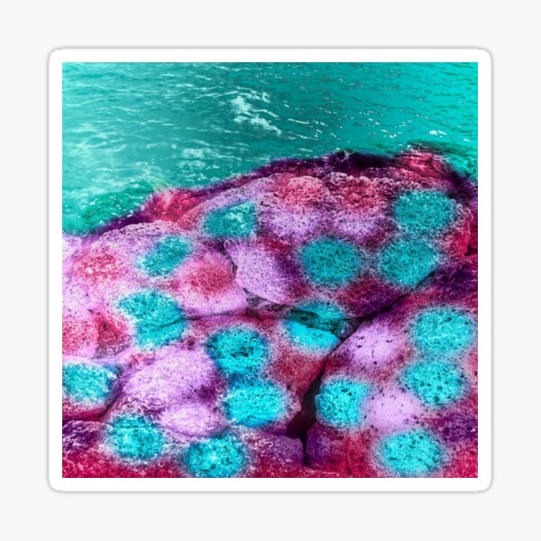 "Pink Spotted Sea Rocks" Sticker by CreatureWorldZ | Redbubble