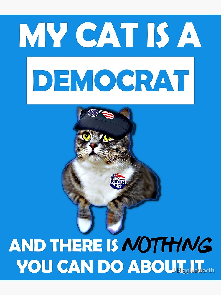 Liberal Cat Memes Rebellious Cat Memes To Awaken The Feisty Feline