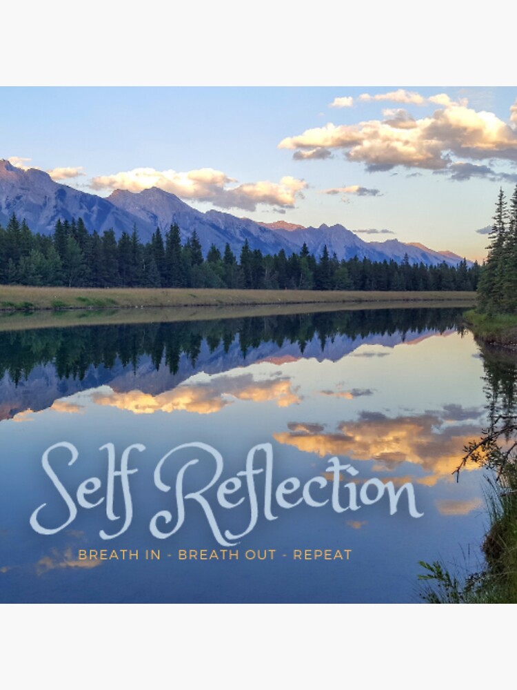 "Self Reflection" Sticker by View13 | Redbubble