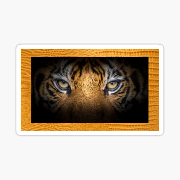 "Tiger Eyes" Sticker by Latorih10 | Redbubble