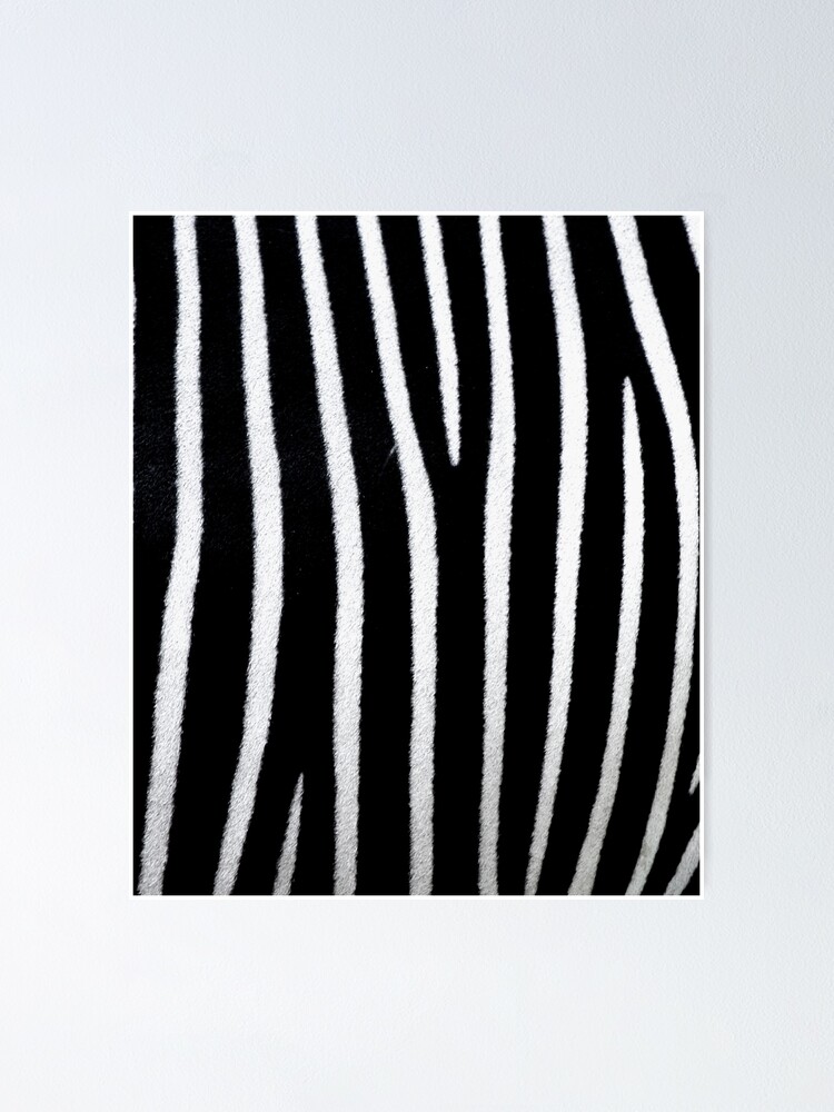 "Zebra coat, pelt, hair, pattern - black and white, close up. (From ...