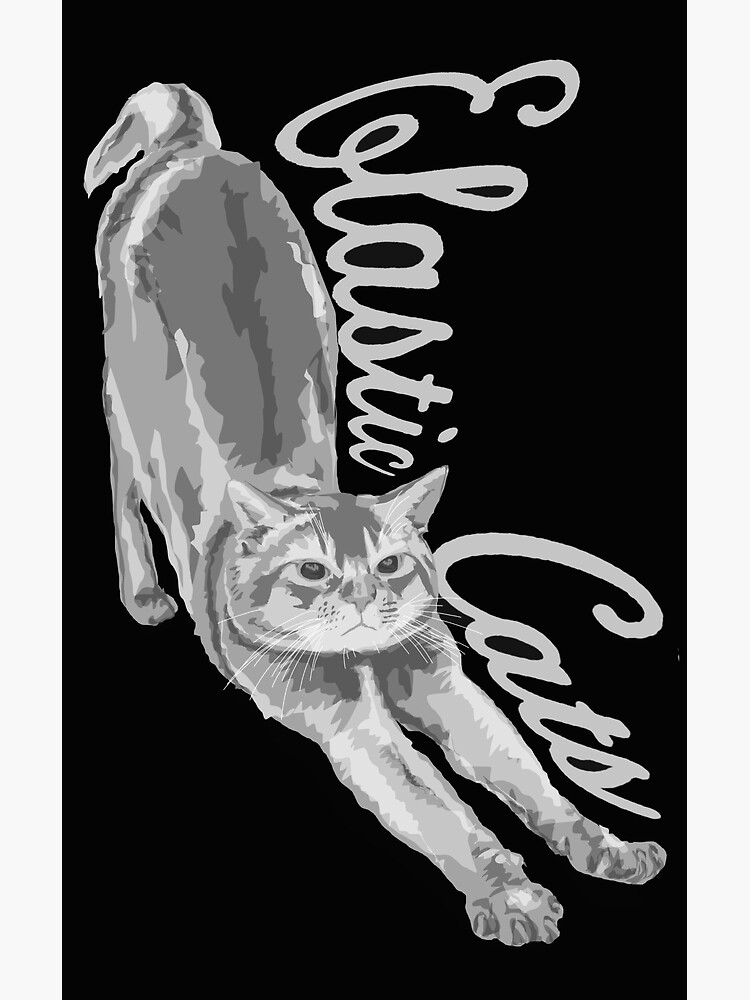 "ELASTIC CAT" Poster for Sale by megatrontom | Redbubble