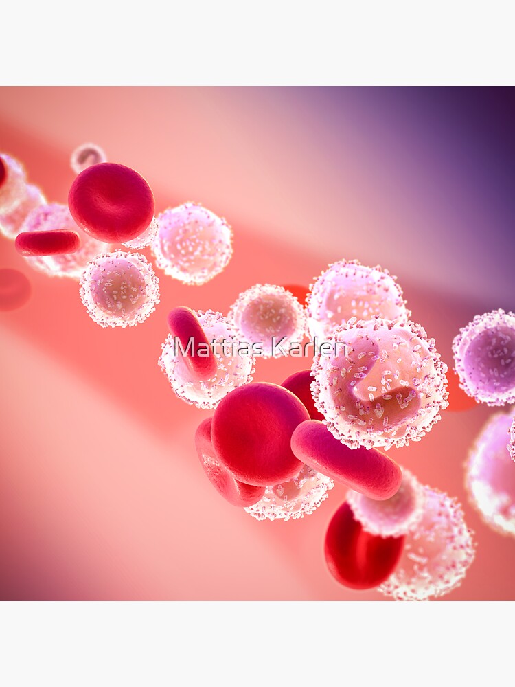"Blood cells" Sticker by mattiaskarlen | Redbubble