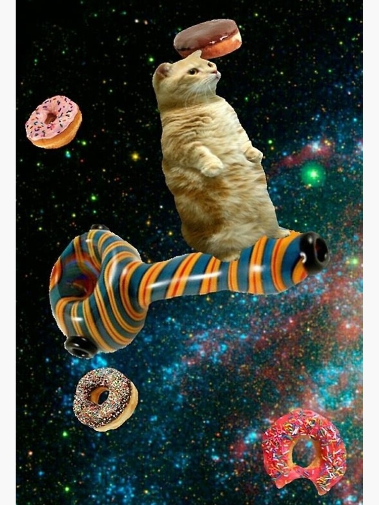 "spiritual donut cat" Greeting Card for Sale by taco-elgato | Redbubble