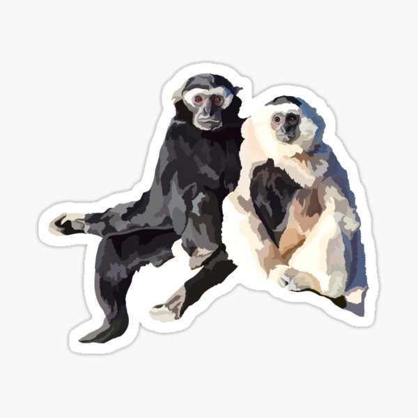" G is for Gibbon " Sticker for Sale by thezoogirl | Redbubble