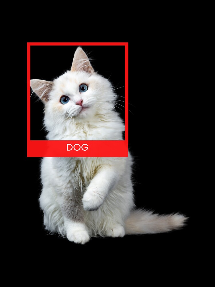 "Neural Network Cat - Data Science Machine Learning" Sticker for Sale ...