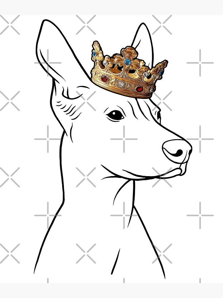 Peruvian Inca Orchid Dog Wearing Crown Premium Matte Vertical Poster ...