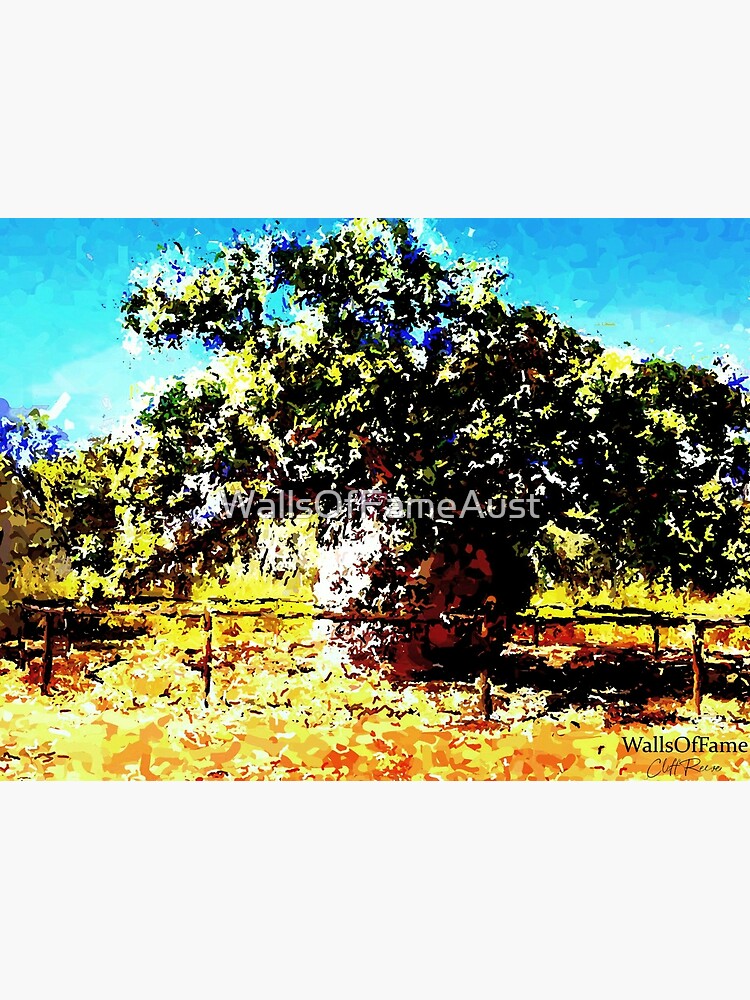 "Boab Tree Digital Painting From WallsOfFame. Kimberley Western ...