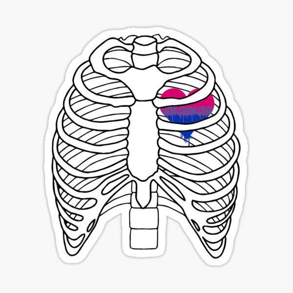 "Bi Bisexual Heart Rib Cage Pride Flag Lgbtq Cool Lgbt" Sticker by ...