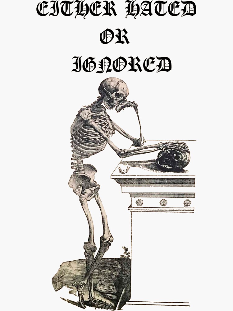 "Either Hated or Ignored" Sticker for Sale by ArautoCosmico | Redbubble