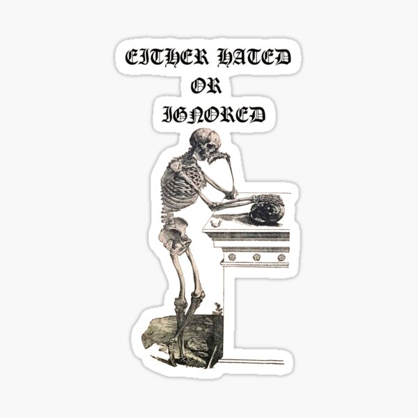 "Either Hated or Ignored" Sticker for Sale by ArautoCosmico | Redbubble