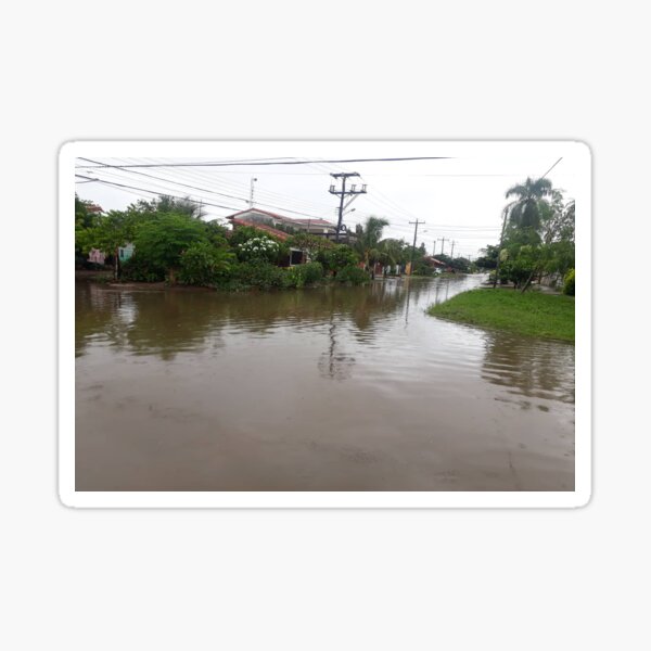 "the Water on the Street Is Like a River in the Amazon-nature -Beauty ...