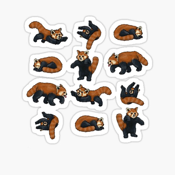 "Red Pandas" Sticker for Sale by TheRandomFactor | Redbubble