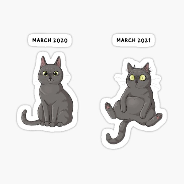 "March 2020 vs March 2021" Sticker for Sale by ritavigovszky | Redbubble