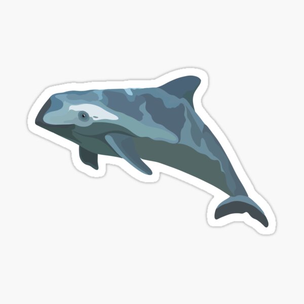 "V is for Vaquita" Sticker for Sale by thezoogirl | Redbubble