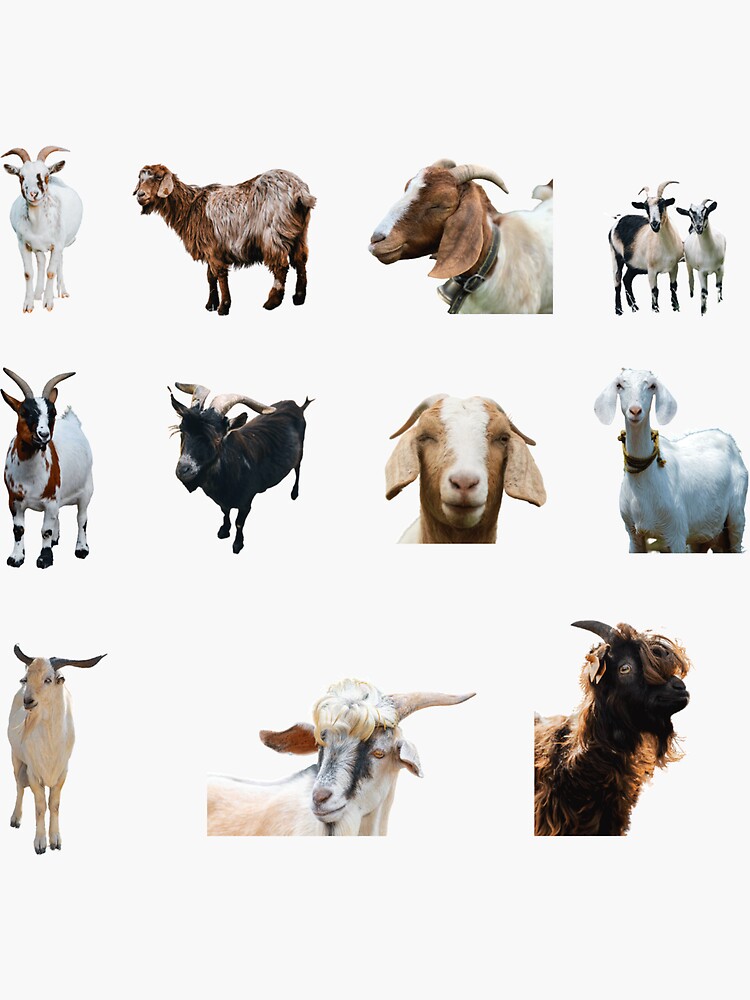 "Goat Sticker Pack" Sticker for Sale by holbytv | Redbubble