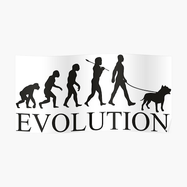 "EVOLUTION pitbull" Poster for Sale by benova | Redbubble