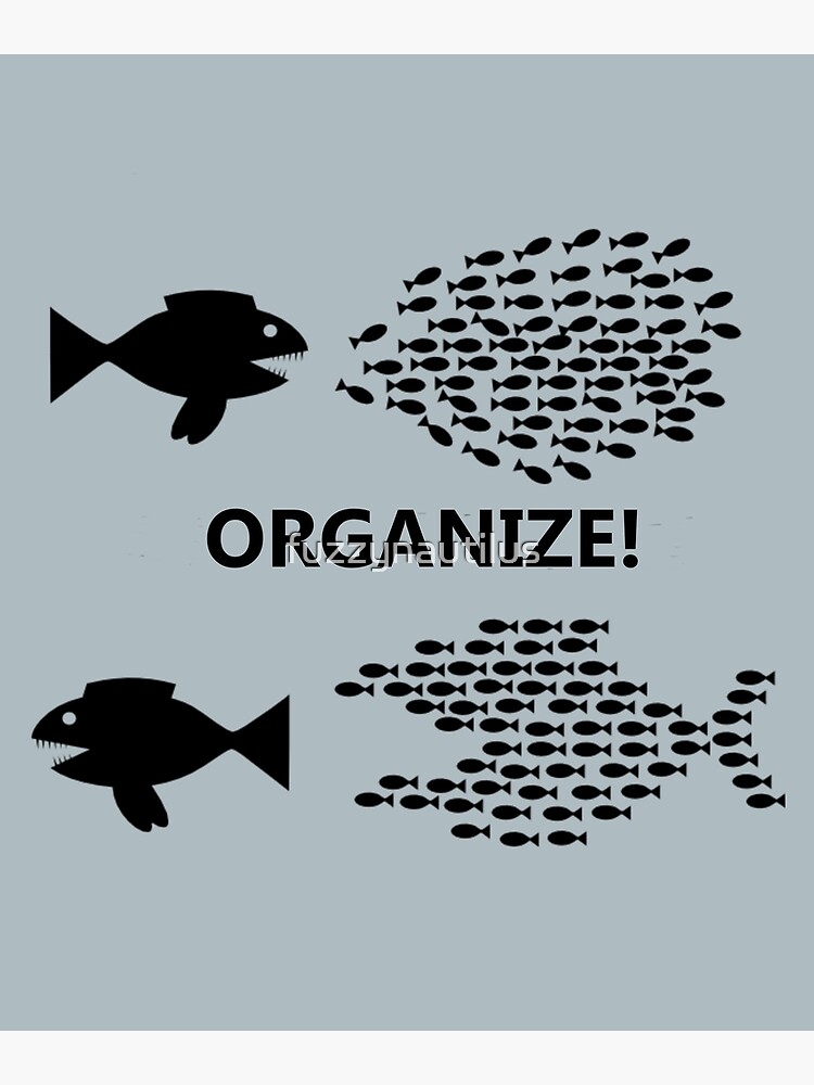 "Organize! Fish" Poster for Sale by fuzzynautilus | Redbubble