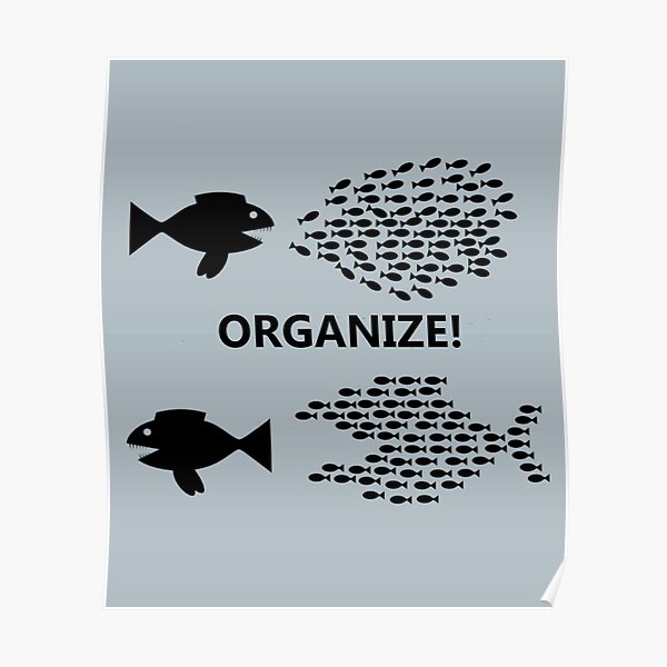 "Organize! Fish" Poster for Sale by fuzzynautilus | Redbubble