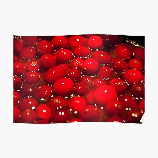 The Cranberries Posters | Redbubble