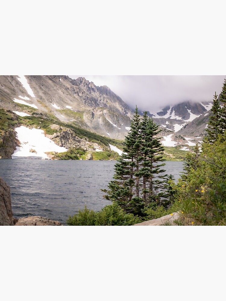 "Tree of Fortitude Photography" Sticker by CornerSeekerUSA | Redbubble