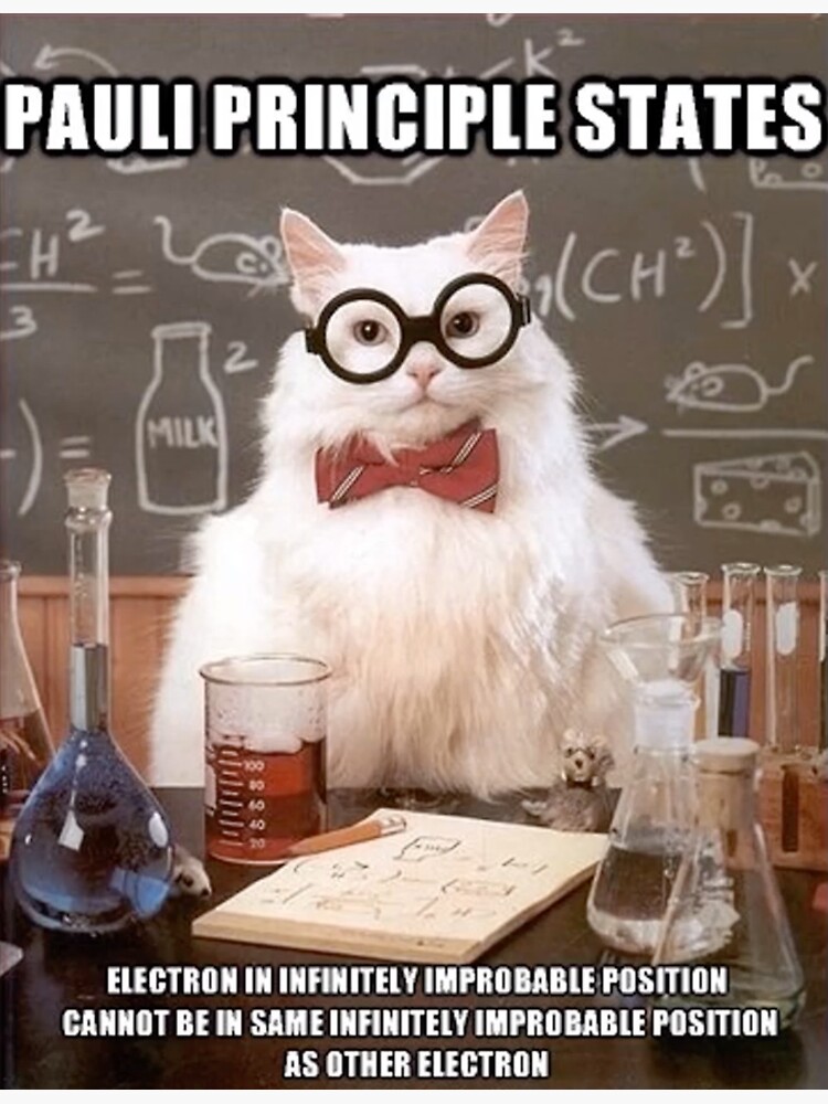 "Chemistry Cat Pauli Principle Joke Meme" Sticker by wyskiski | Redbubble