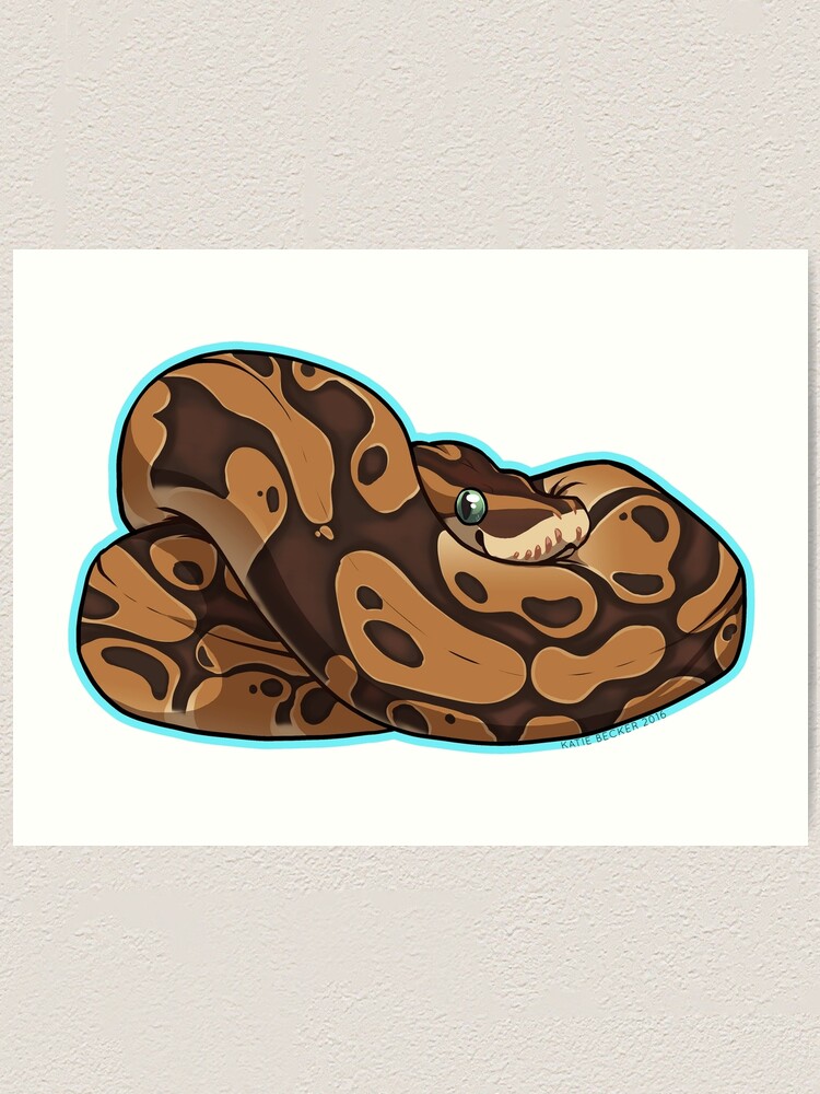 "Normal Ball Python" Art Print for Sale by Dachindae | Redbubble