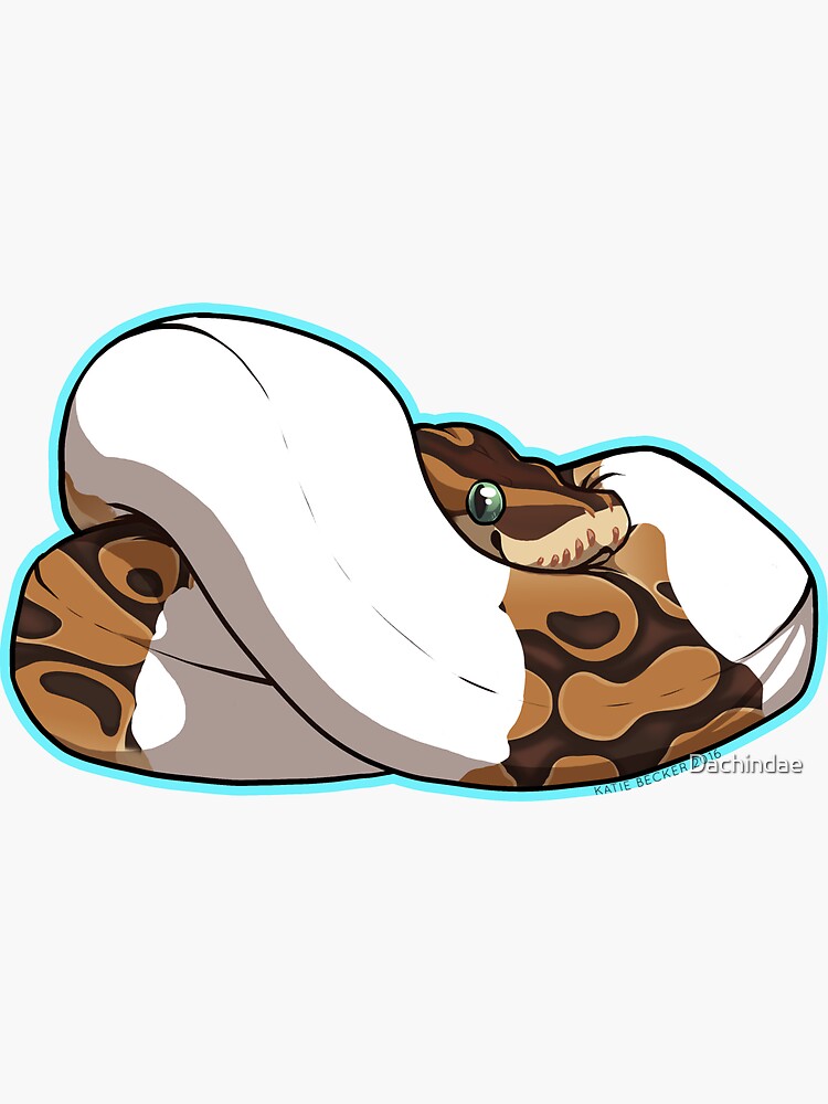 "Piebald Ball Python" Sticker for Sale by Dachindae | Redbubble