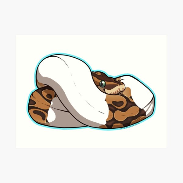 "Piebald Ball Python" Art Print for Sale by Dachindae | Redbubble