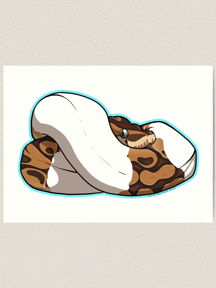 "Piebald Ball Python" Art Print for Sale by Dachindae | Redbubble