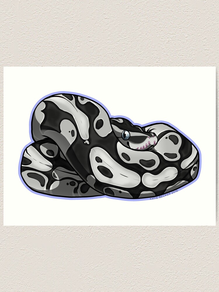 "Axanthic Ball Python" Art Print by Dachindae | Redbubble