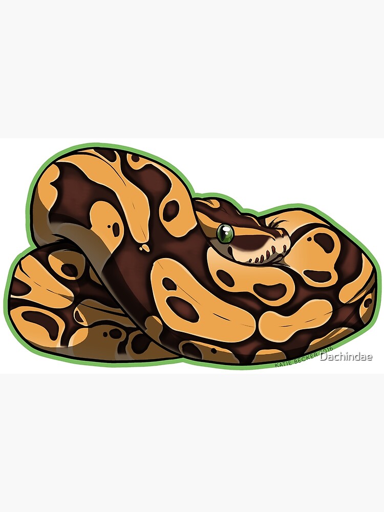 "Pastel Ball Python" Art Print for Sale by Dachindae | Redbubble
