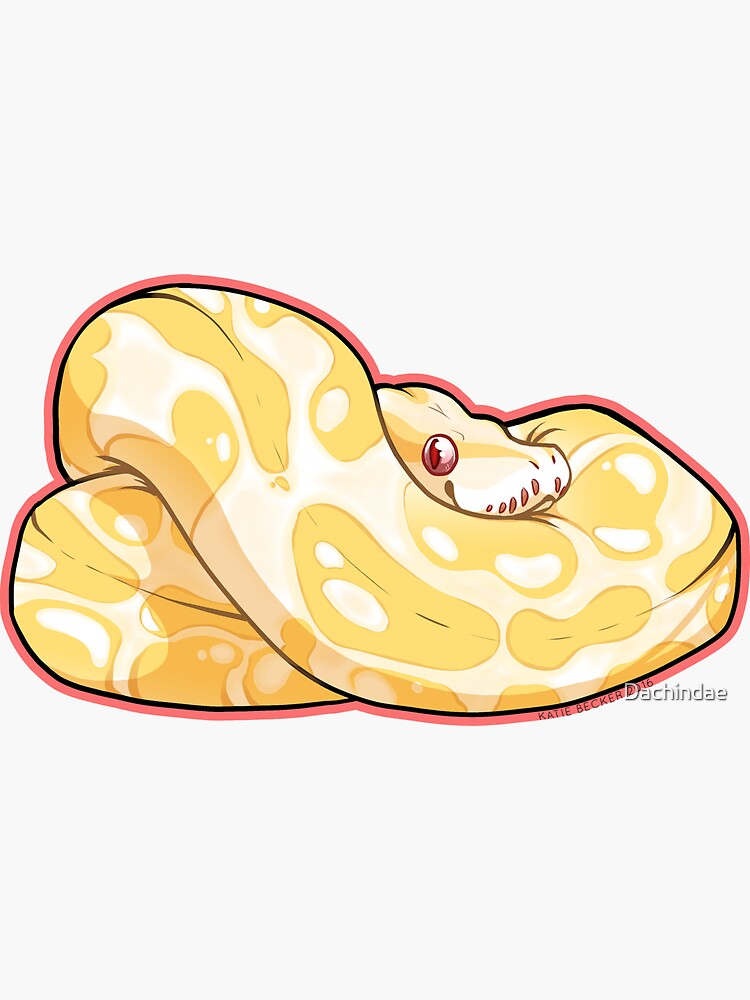 "Albino Ball Python" Sticker for Sale by Dachindae | Redbubble