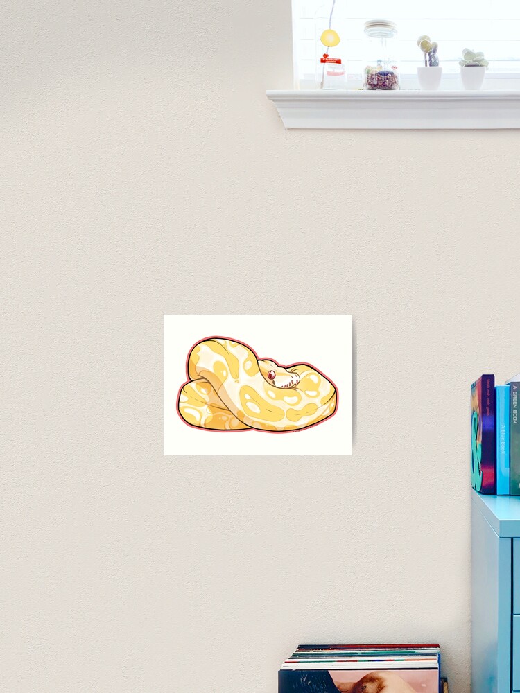 "Albino Ball Python" Art Print for Sale by Dachindae | Redbubble