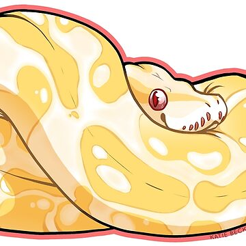 "Albino Ball Python" Sticker for Sale by Dachindae | Redbubble