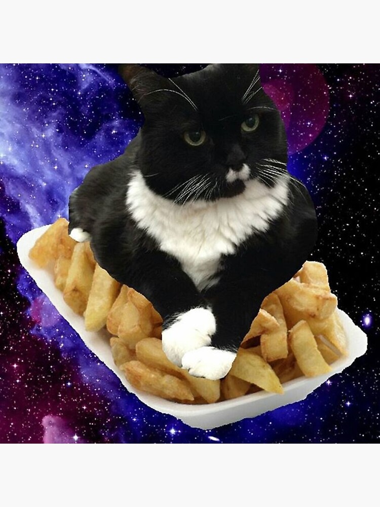 "pebbles the cat" Sticker by taco-elgato | Redbubble