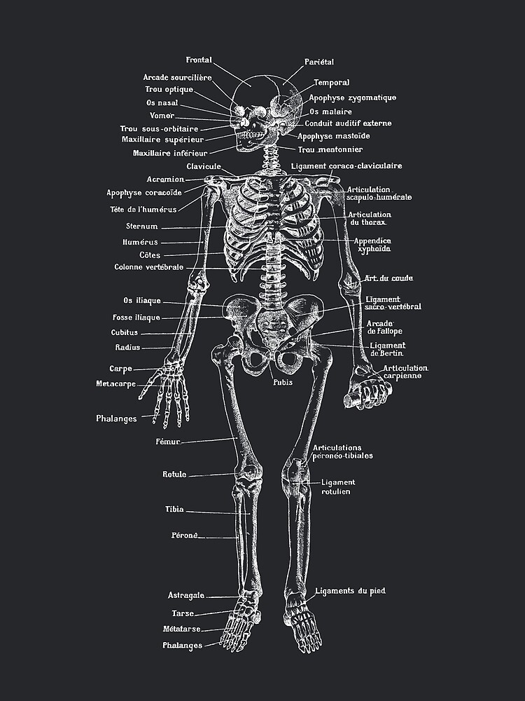 "Skeleton. Black background, Text in french" Poster by LeAllureVintage ...