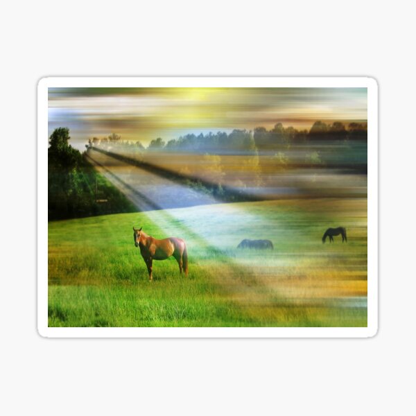 "Beaming Pasture" Sticker for Sale by Barbny | Redbubble