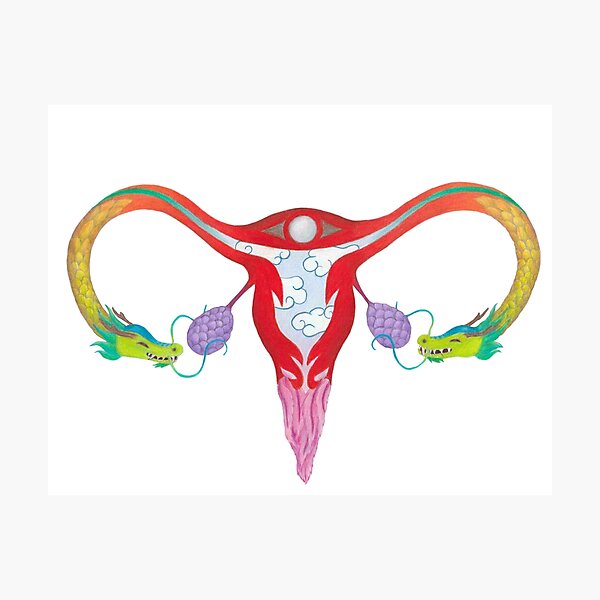 "Dragon Uterus" Photographic Print by Verina-Moon | Redbubble