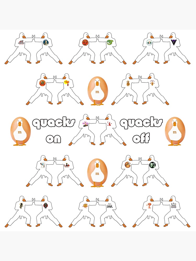 "Duck Fu Training" Poster for Sale by TryHardGarbage | Redbubble