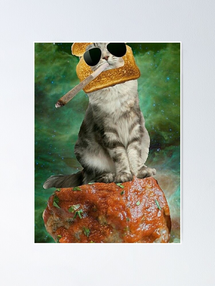 "cool meatball cat" Poster for Sale by taco-elgato | Redbubble