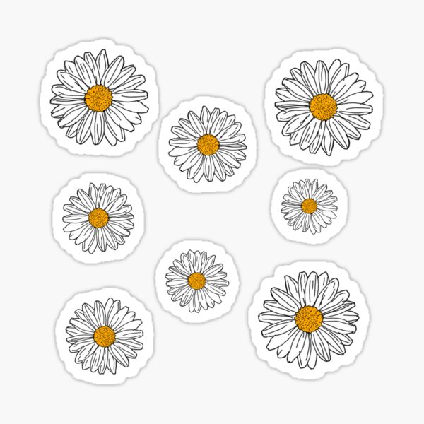 "daisies" Sticker for Sale by --Camiila-- | Redbubble