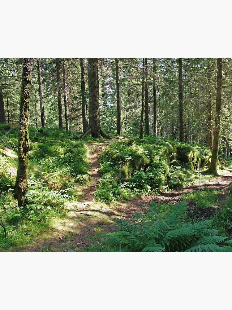 "Forest path" Poster for Sale by Feanen | Redbubble