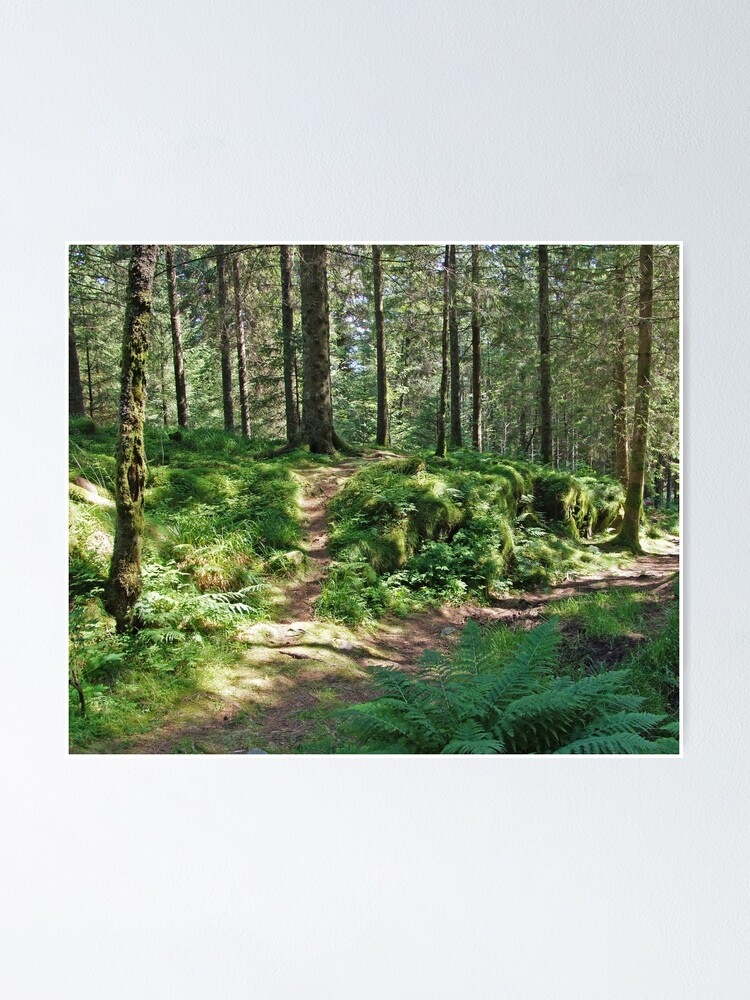 "Forest path" Poster for Sale by Feanen | Redbubble