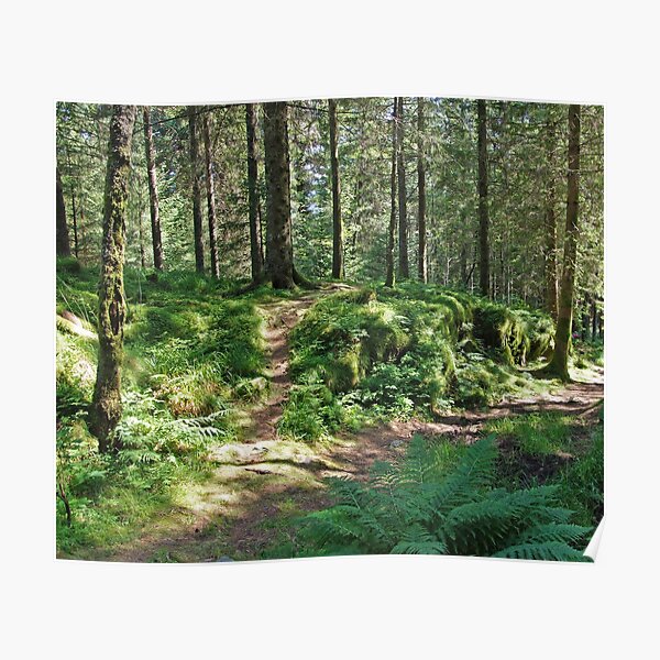 "Forest path" Poster for Sale by Feanen | Redbubble