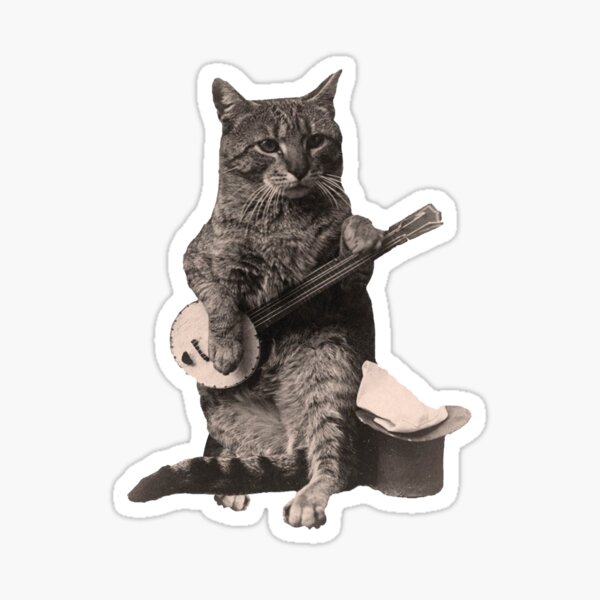"Cat Playing Banjo Guitar" Sticker for Sale by teeshirtcraze | Redbubble