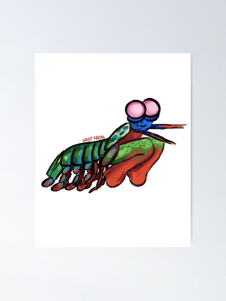 "Mantis Shrimp" Poster von lostfrog | Redbubble