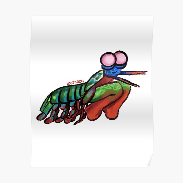"Mantis Shrimp" Poster von lostfrog | Redbubble