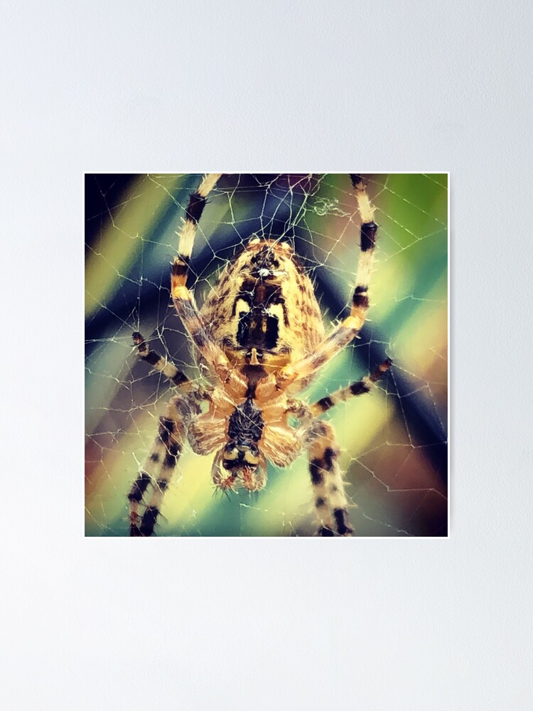 "spiders" Poster for Sale by Kittynine9 | Redbubble