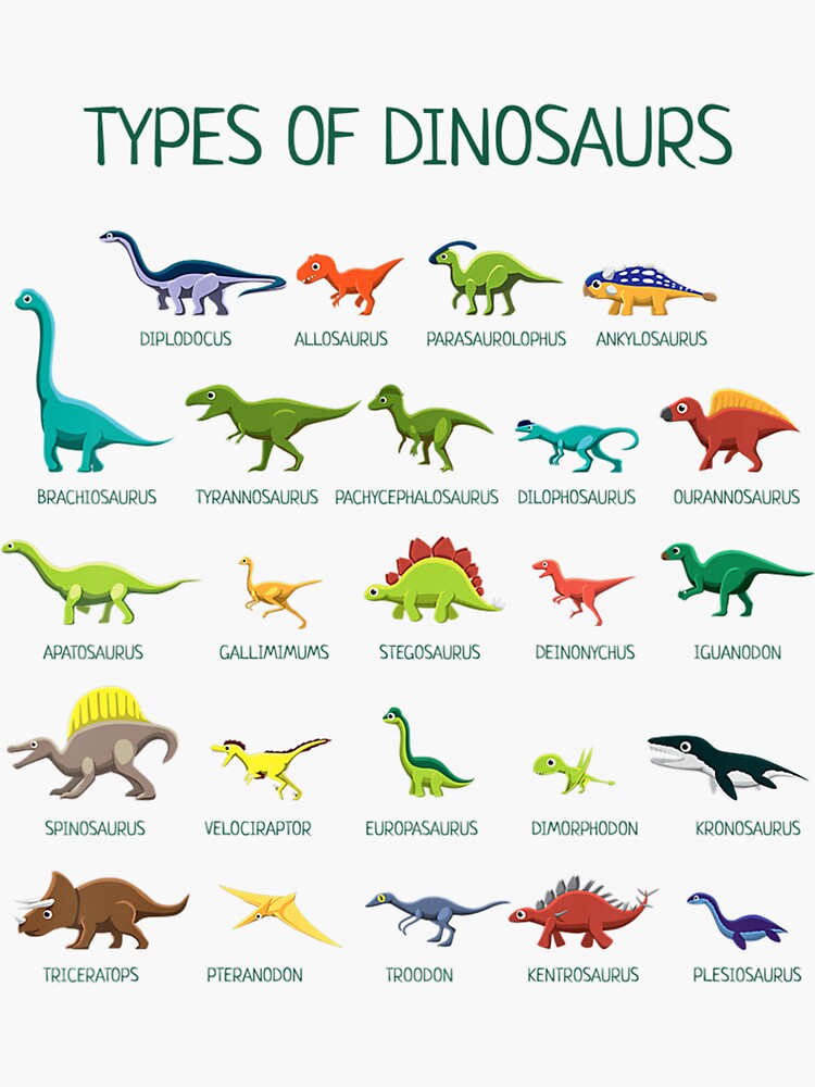 "Kids Types Of Dinosaurs Dino Identification" Sticker for Sale by ...